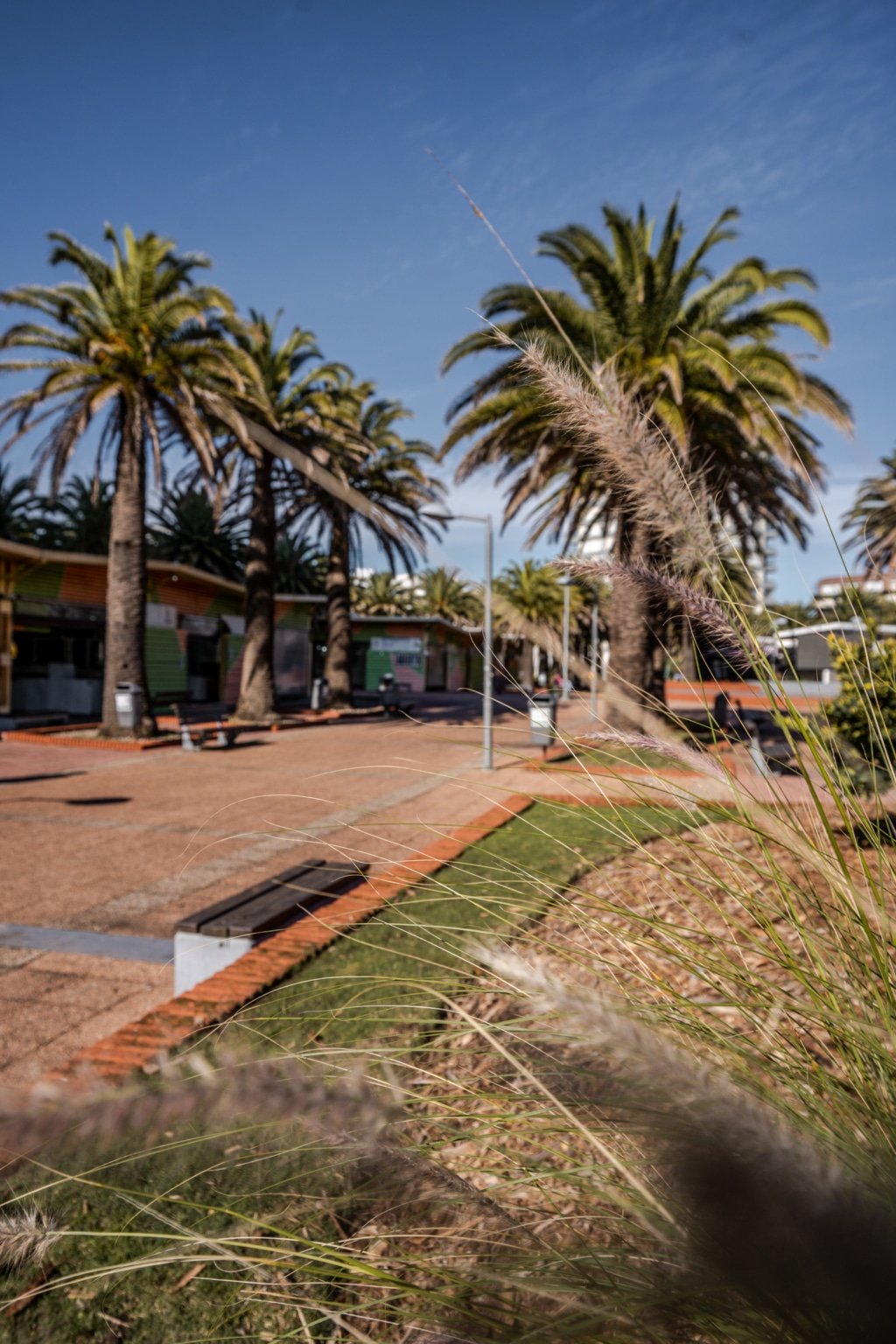 25 cosas qué hacer en Punta del Este, Uruguay - Es Parte del Viaje