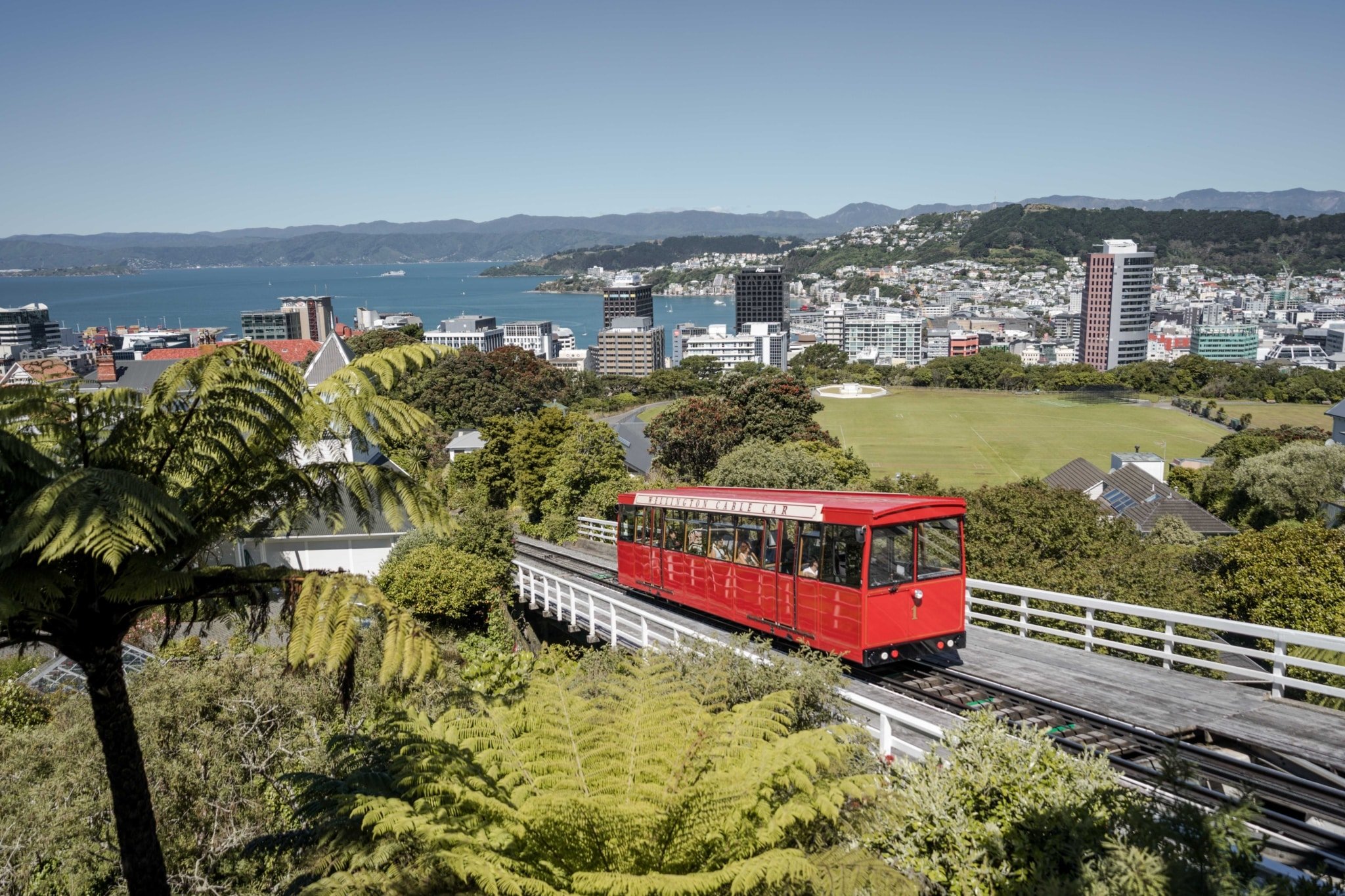 15 cosas que ver en Wellington, Nueva Zelanda - Es Parte del Viaje