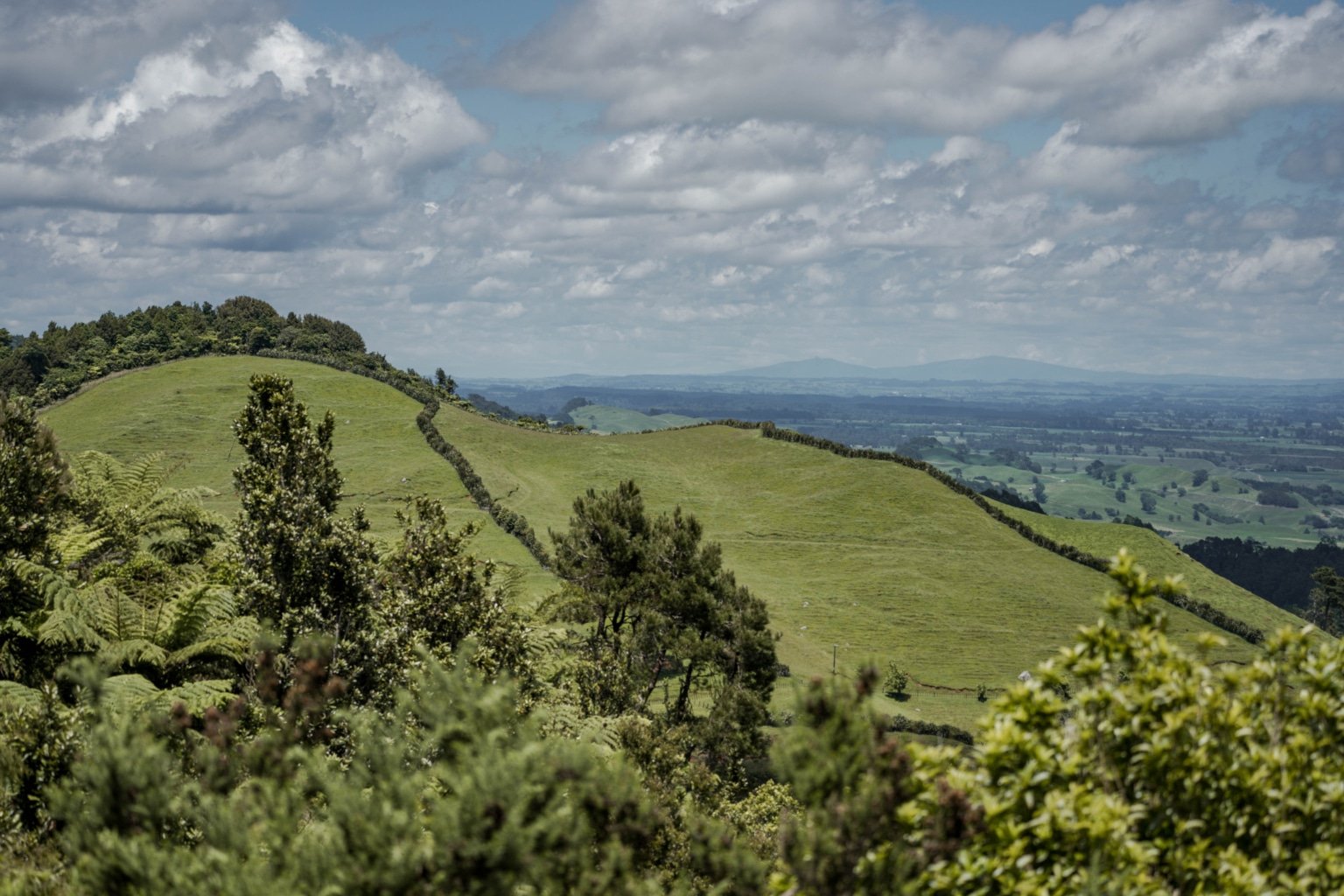 Que ver en la Isla Norte de Nueva Zelanda - Es Parte del Viaje