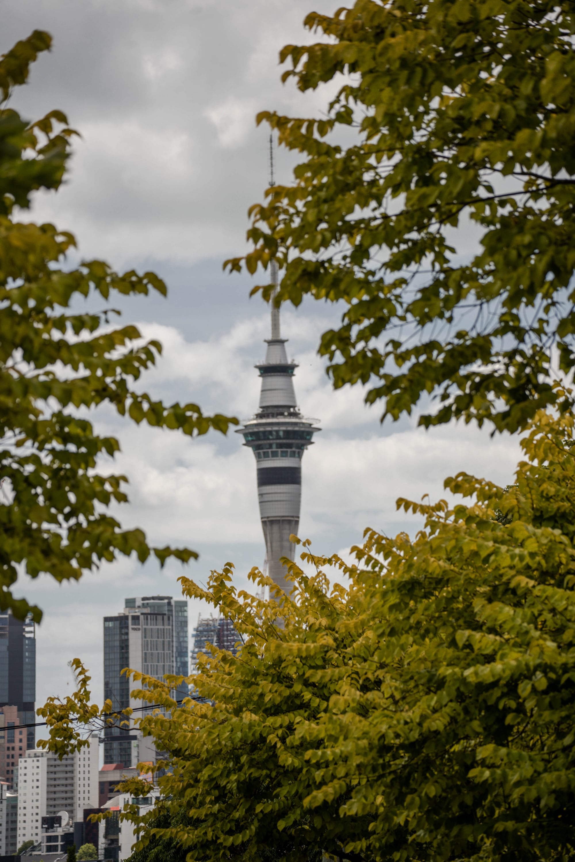 20 cosas que hacer en Auckland, Nueva Zelanda - Es Parte del Viaje