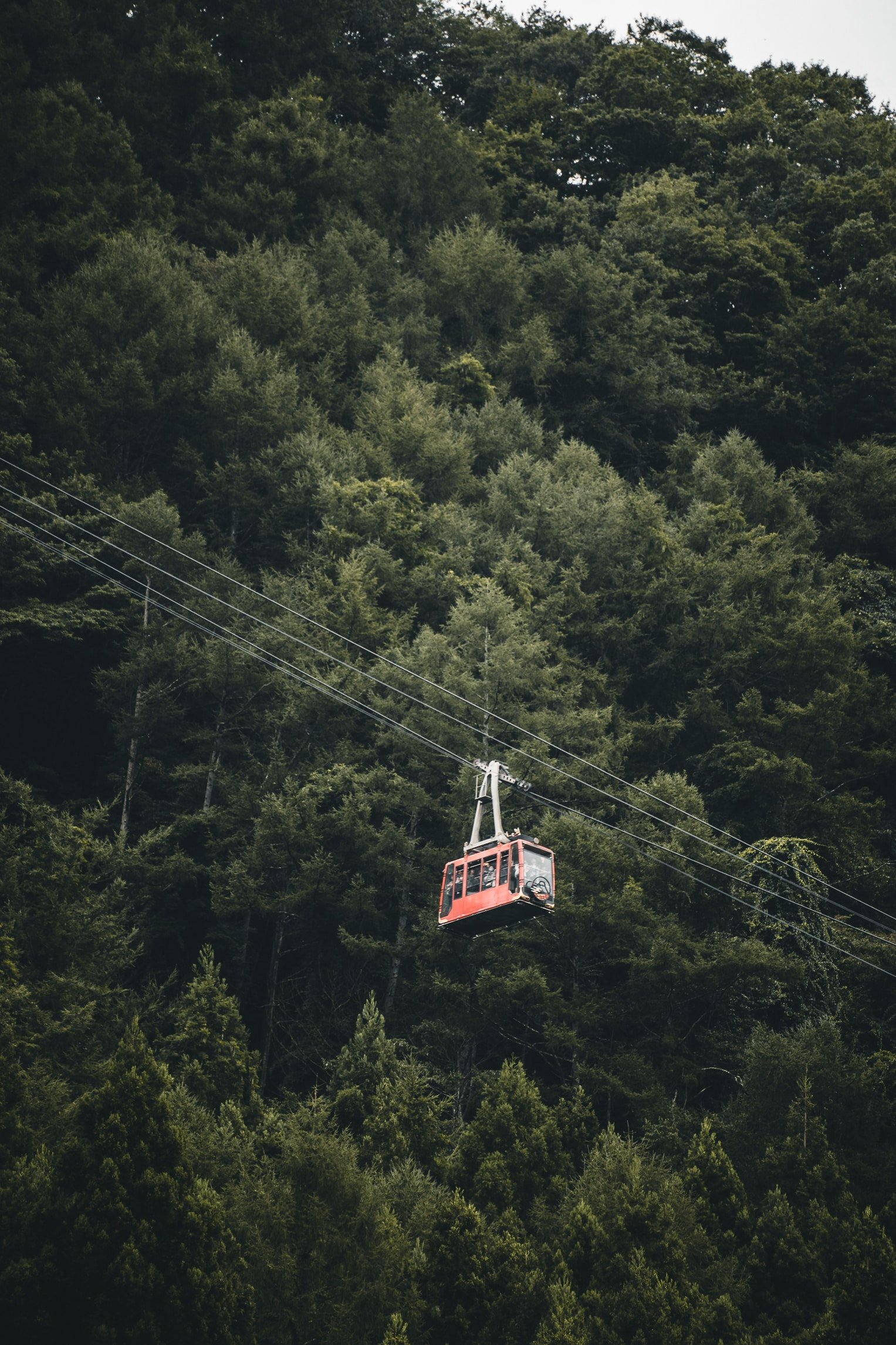 Las 5 mejores excursiones Monte Fuji desde Tokio - Es Parte del Viaje