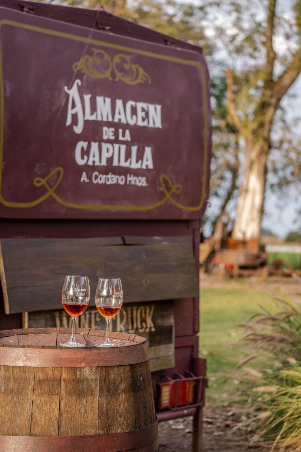 Qué hacer en Carmelo, Uruguay | Bodegas y más 🍇