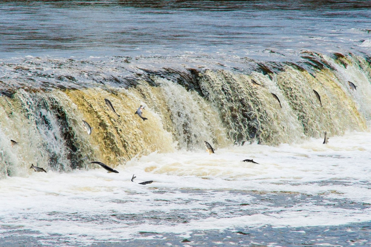 10 lugares imprescindibles que ver en Letonia - Es Parte del Viaje